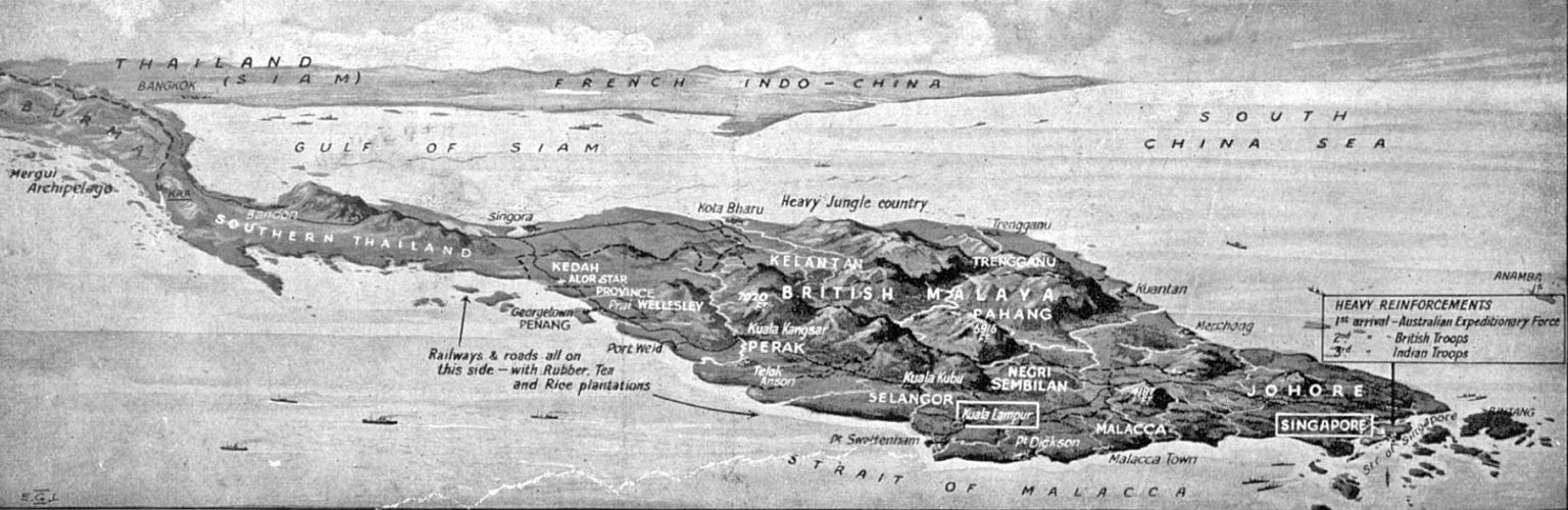The Palembang and Muntok Internees of WW2