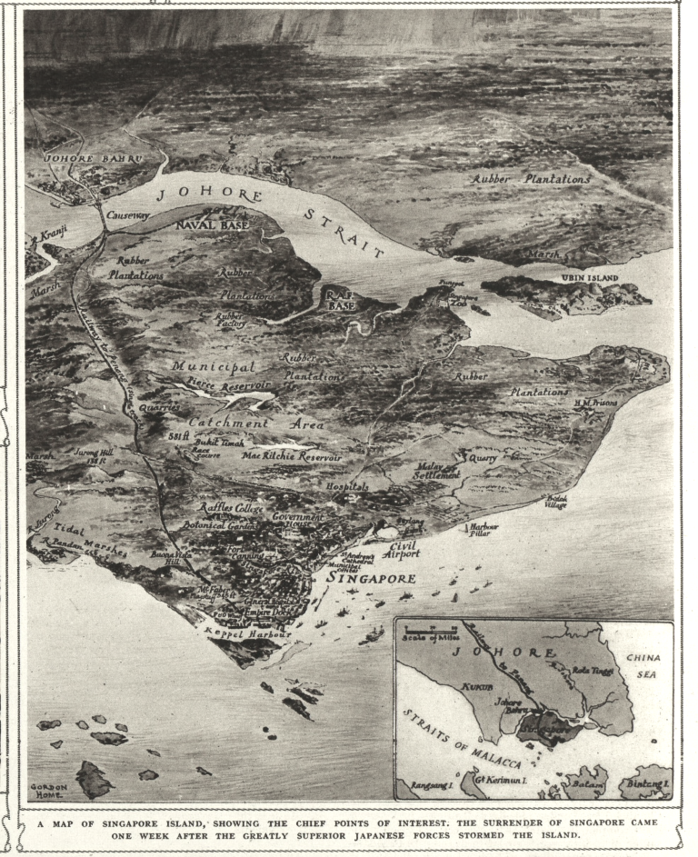 The Palembang and Muntok Internees of WW2